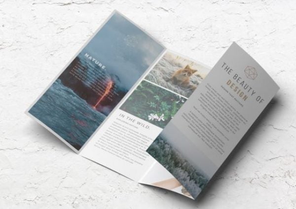 Double Parallel Fold Brochures | Double Parallel Fold Brochure | Custom ...